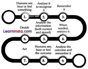 Introduction To AI Class Notes
