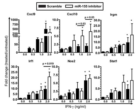 Figure 8 From Neuroinvasive Listeria Monocytogenes Infection Triggers