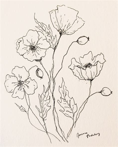 Poppies Sketch Sketchbook Art Inspiration Flower Art Drawing Poppy