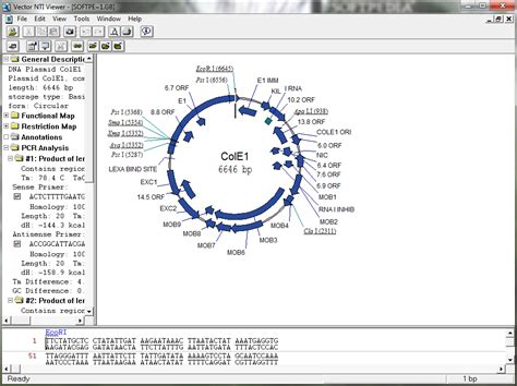 Vector Nti Viewer Download Softpedia