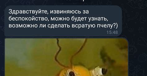 Пчела из деревни дураков Пикабу