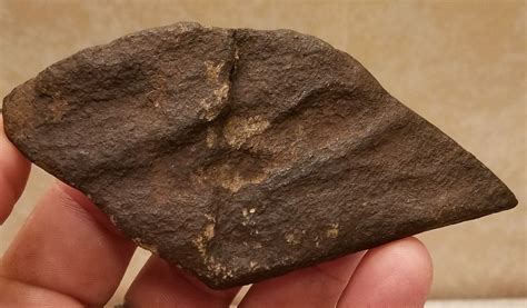 Bird Stone Arrow Head Projectile Spear Point Paleo Indian Rock Art Ancient America Indian