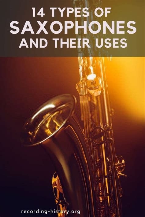 14 Types Of Saxophones And Their Uses With Pictures