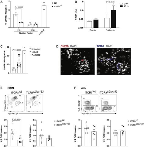 Skin γδ T Cell Inflammatory Responses Are Hardwired In The Thymus By