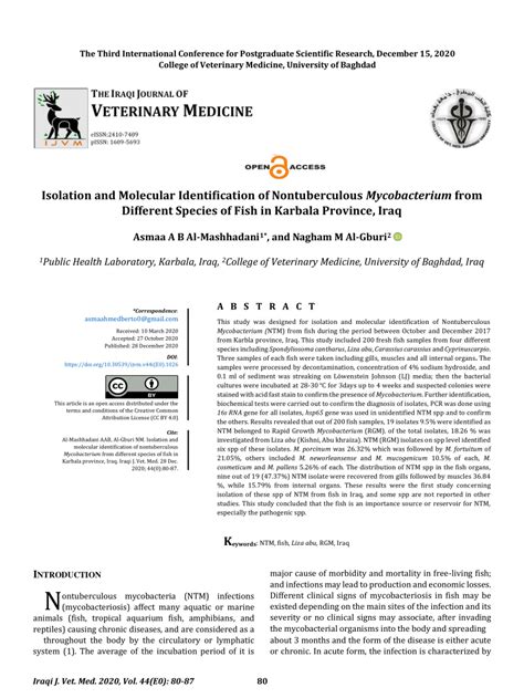 Pdf Isolation And Molecular Identification Of Nontuberculous Mycobacterium From Different