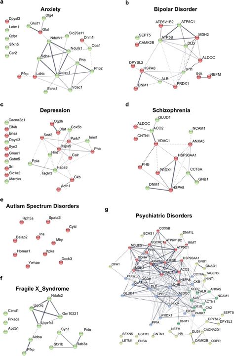 Functional Interaction Networks Of Proteins Dysregulated In Mental Download Scientific Diagram