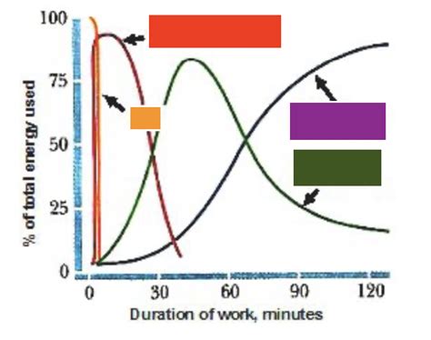 BIOC Exam Enzyme Mechanisms And Overview Of Metabolism Flashcards Quizlet