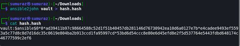 Punk Ctf 2025 — Password Cracking All Of Them Writeup By Bfsumuraz