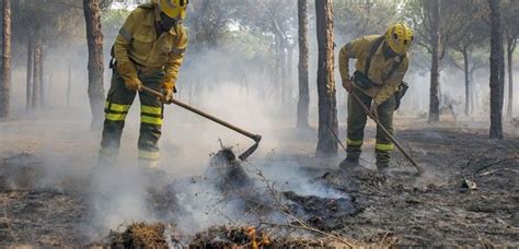 El Fuego Ha Arrasado 75000 Hectáreas En Lo Que