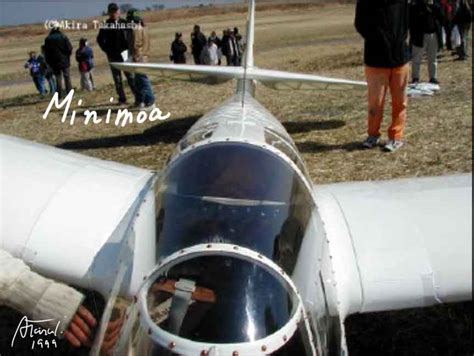 Minimoa Details いろはにかおすブログ