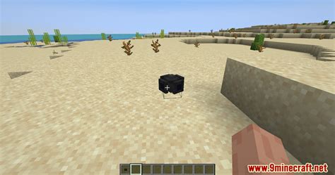 Chunk Loaders Mod 1minecraft
