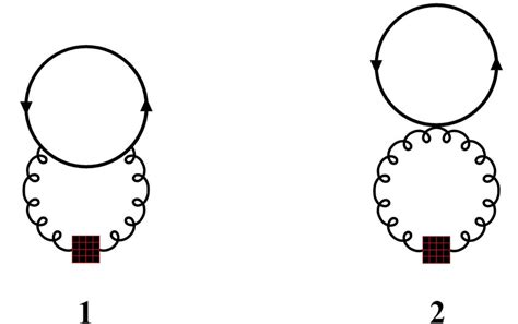 Two Loop Fermionic Diagrams Contributing To W R T Download