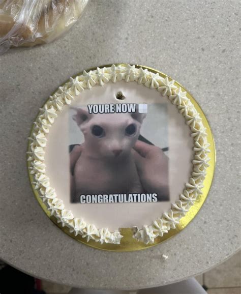 My Bingus Birthday Cake Rbingus