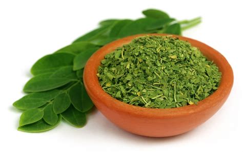 Salud, bienestar y belleza.: Moringa: Usos y beneficios.