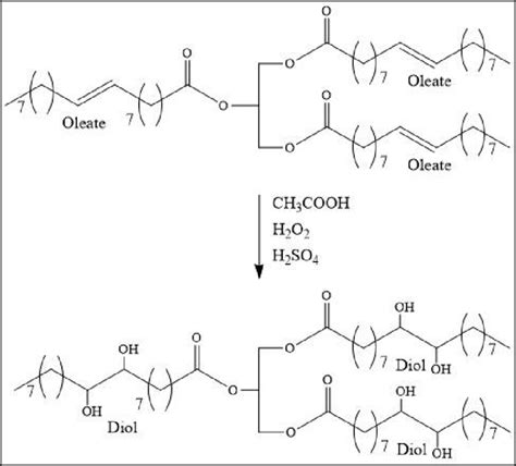 Scheme Of One Stage Polyol Reaction Reaction Download Scientific Diagram