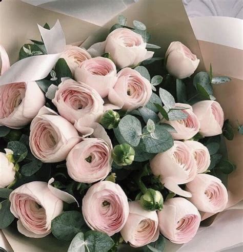 Flower | Цветы, Ранункулюс, Цветочные букеты