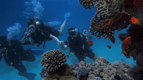 Beginners Guide To Muck Diving Etiquette And Safety Casalay Boutique