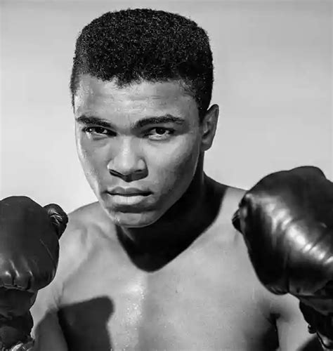 Cassius Clay Recensioni Discografia