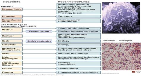 Introduction To Microbiology And Classification Of Microorganisms Pptx