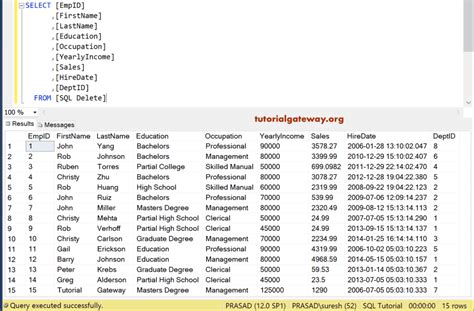 Sql Delete Statement