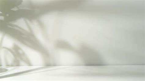 White Wall With Leaf Shadow Background 32996501 Stock Video At Vecteezy