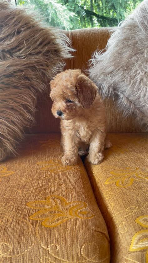 Hera Ve Bella Belatrixshera • Instagram Photos And Videos