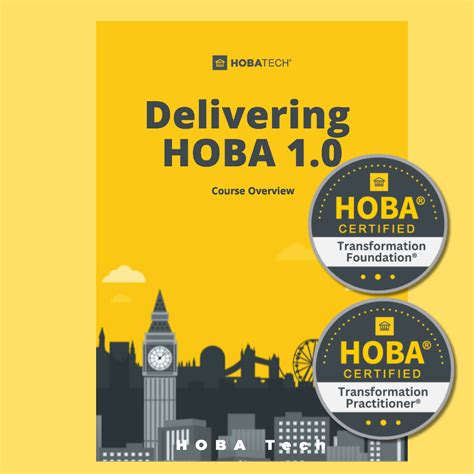 Delivering Hoba 10 Master Business Transformation Skills Hoba Tech