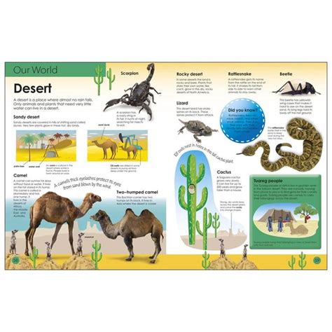 My First Encyclopedia By Dk How To Introduce Yourself Beginner