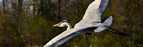 Habitat Conservation Plan 16 Things 2025 You Must Know