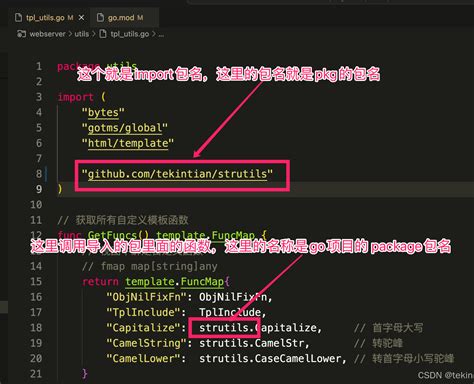 Go Pkg包名如何在pkggodev发布golang软件包 Package包名 Import包名 Git库名 Gomod