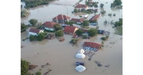 Миризма на трупове се носи в Мизия