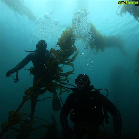 Nicholas James Gethu Cinema