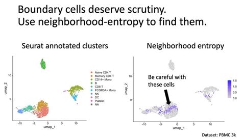 Ever Wonder If A Boundary Cell In A Clustering Scheme Really Fits Its