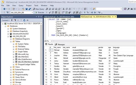 Ssis Package Incremental Load Using The Lookup Transformation In Sql