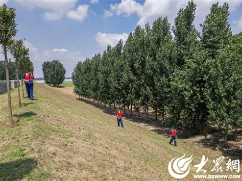 梁山黄河河务局全力做好“杜苏芮”台风防御值守工作工程信息防汛