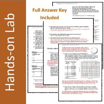 AP Biology Unit 2 Cell Membrane And Cell Size Hands On Lab Activity