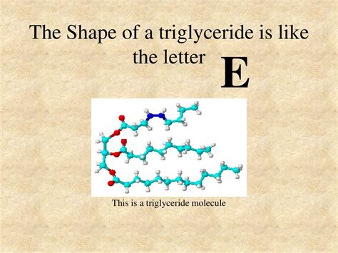 Biological Macromolecules Ppt Download