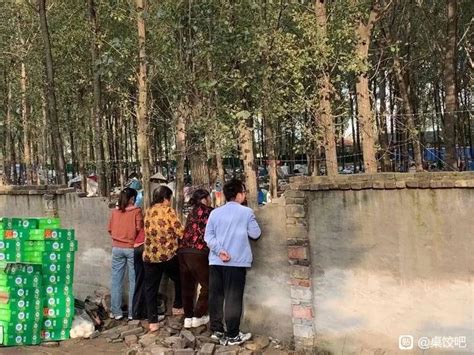 Vscode报错：具有相同大小写的相对路径上的“文件名与仅在大小写中已包含的文件名不同” 知乎