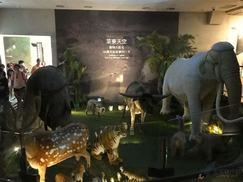 台南親子景點 臺南左鎮化石園區以恐龍化石為主題的博物館 生活隨便搞