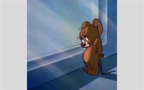 Top H Nh Nh Tom And Jerry Meme C C Troll C I V B Ng