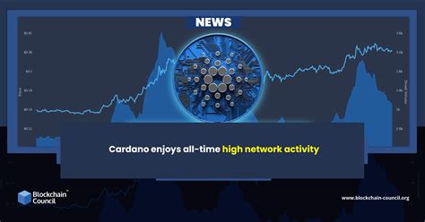 cardano enjoys all time high network activity blockchain council