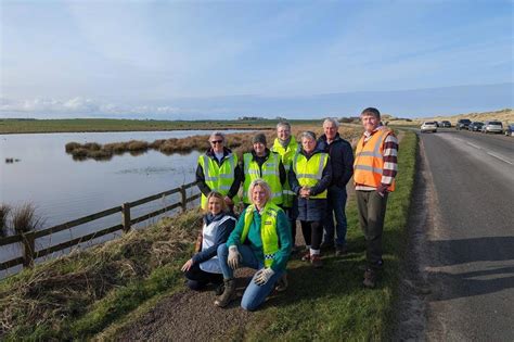 Northumberland Toad Rescue Group Calls For Volunteer Support Between