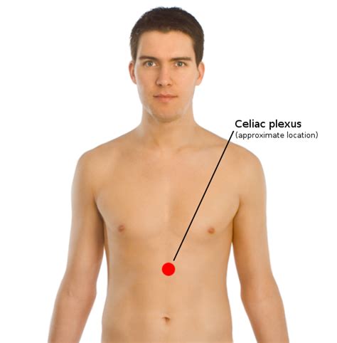 Perfect Solar Plexus Punch Check Our Practical Guide