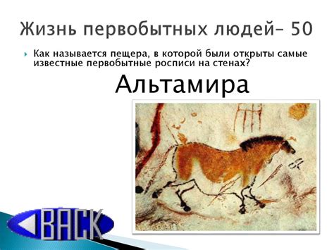 Своя игра «Жизнь первобытных людей презентация онлайн