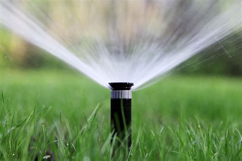 Lawn Care Tips Watering Sod Resources Scienturfic Sod