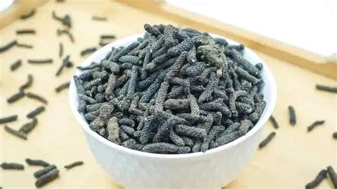 Pippali The Ancient Indian Spice