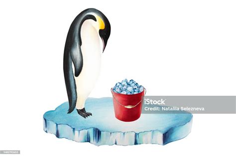 수채화 킹 펭귄은 고립된 빙원에 얼음 양동이를 들고 있습니다 현실적인 북극과 남극 해양 포유류를 손으로 그립니다 디자이너 장식 엽서 포장지 스크랩북 표지 로고 초대장 포스터