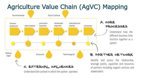 Understanding The Agricultural Value Chain Stakeholders And Ict Appl