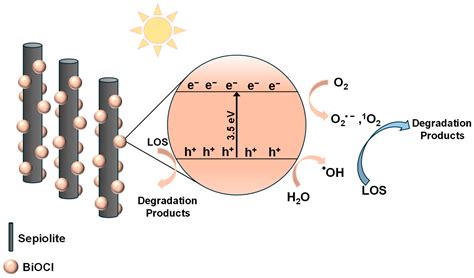 Catalysts Free Full Text Photocatalytic Degradation Of Losartan