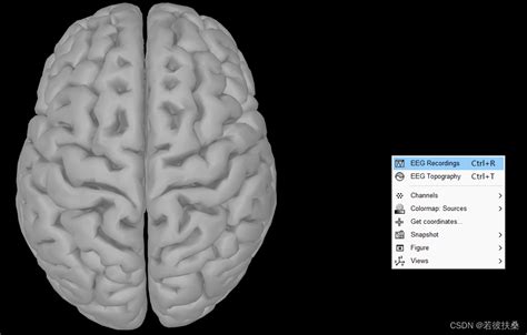 【脑电绘图教程 2】使用brainstorm进行脑电处理及源定位brainstorm软件 Csdn博客 【脑电绘图教程 2】使用brainstorm进行脑电处理及源定位brainstorm软件 Csdn博客